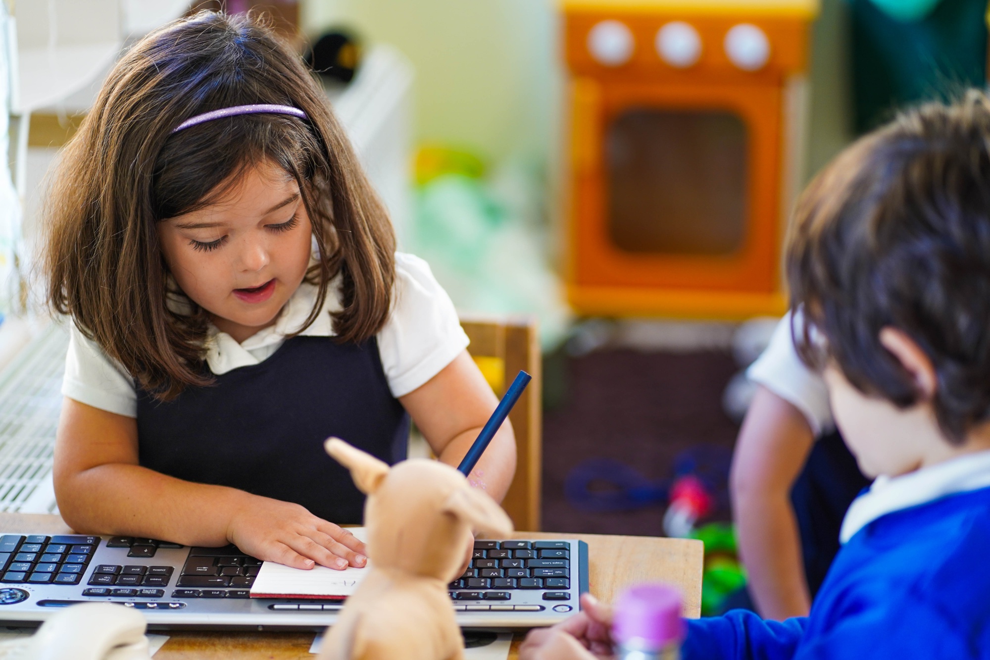 Maple Tree Primary School - Curriculum